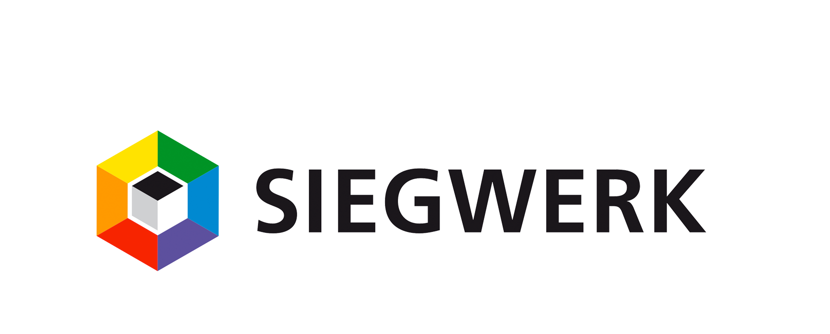 About Siegwerk: What we do